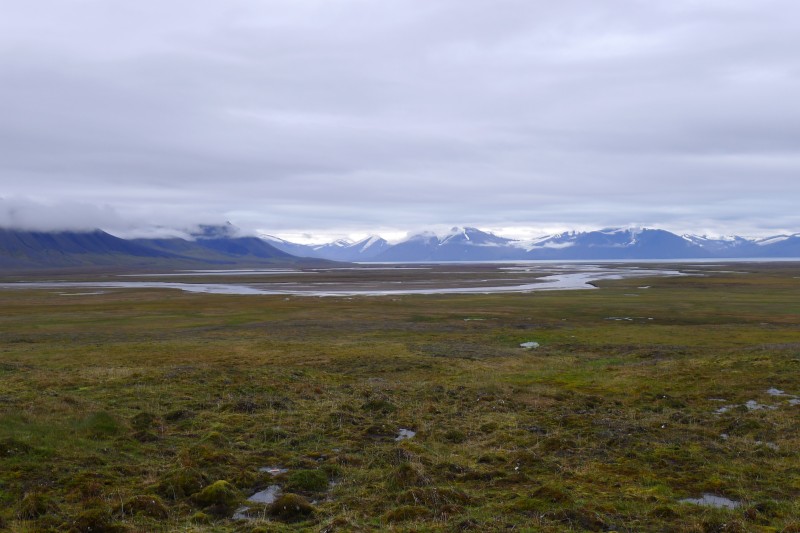 Z údolí Reindalen do Van Mijenfjorden Svalbard 2013