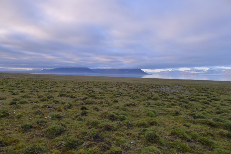 Z údolí Reindalen do Van Mijenfjorden Svalbard 2013